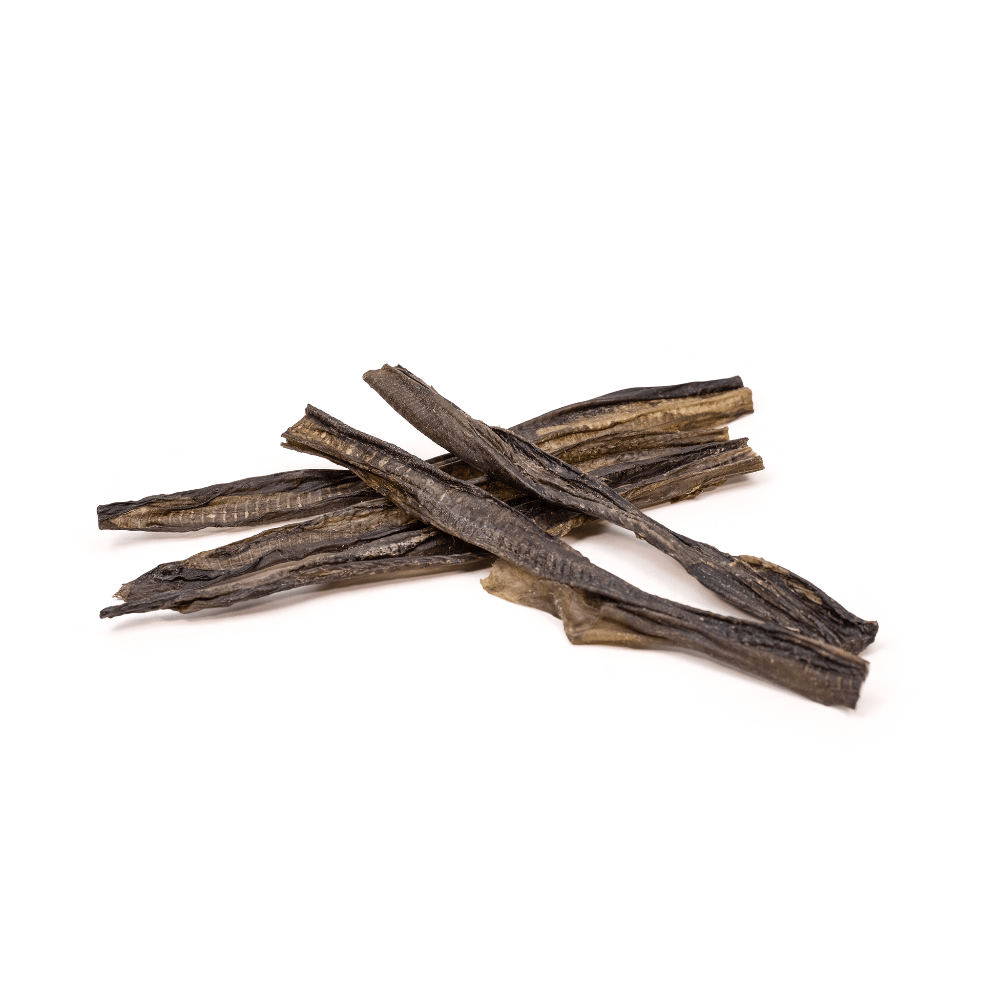 Lanières de peau de poisson chat pour chiens et chiots – A Pet Store